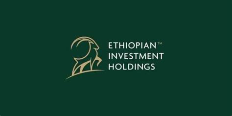 Ethiopian Investment Holdings Ascends To Africas Top Sovereign Wealth