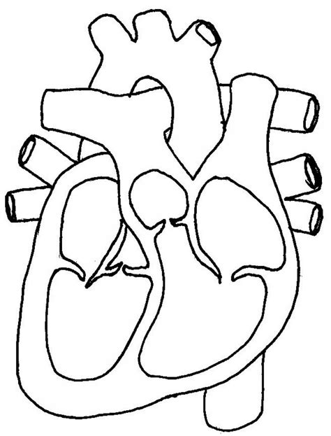 Free Blank Heart Diagram Download Free Blank Heart Diagram Png Images