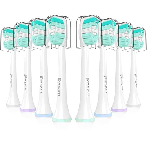 The Best Sonic Toothbrush Head Replacement Home Gadgets