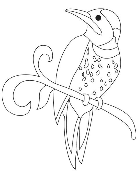 Alabama State Bird Yellowhammer Woodpecker Bird Coloring Pages