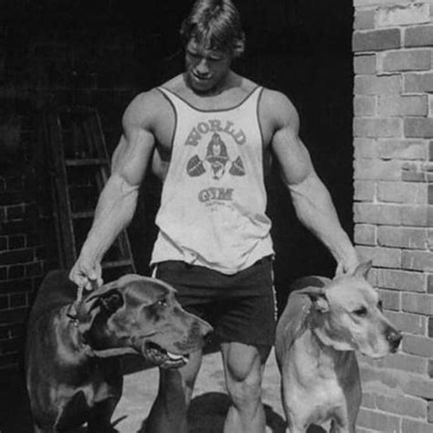 Stream Benjamin Nassi Music Listen To Songs Albums Playlists For