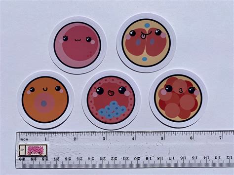 Cute Ivf Fertility Sticker Set Science Kawaii In Vitro Etsy