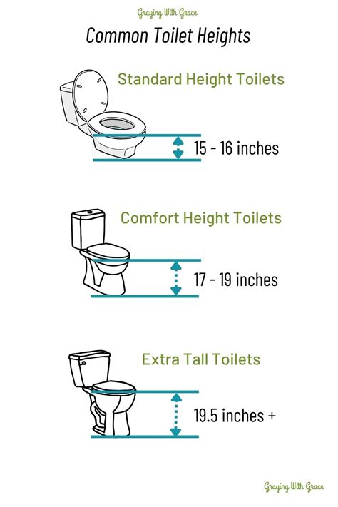 Standard Toilet Heights At William Gainey Blog