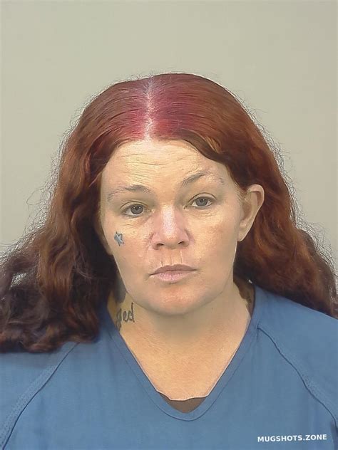Palfrey Jennifer N A 08 01 2024 Dane County Mugshots Zone