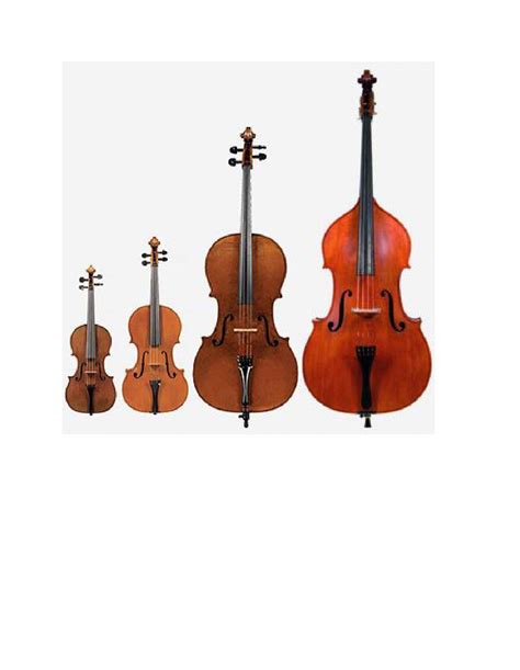 String Instruments Live Worksheets