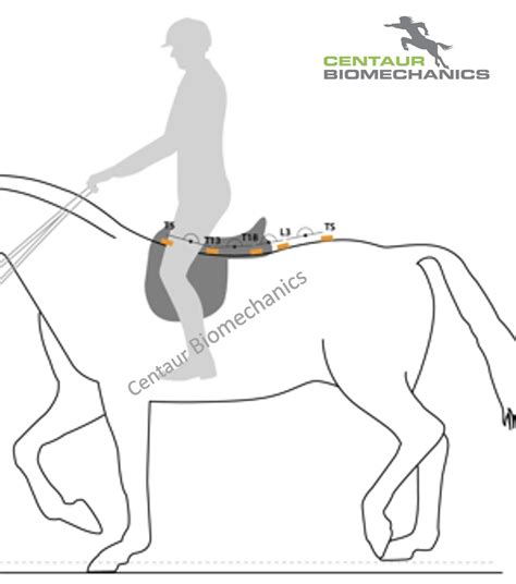 Helen Mathie Posted On Linkedin