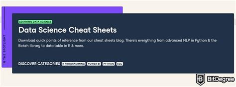 Best Datacamp Python Courses For Data Scientists In 2025