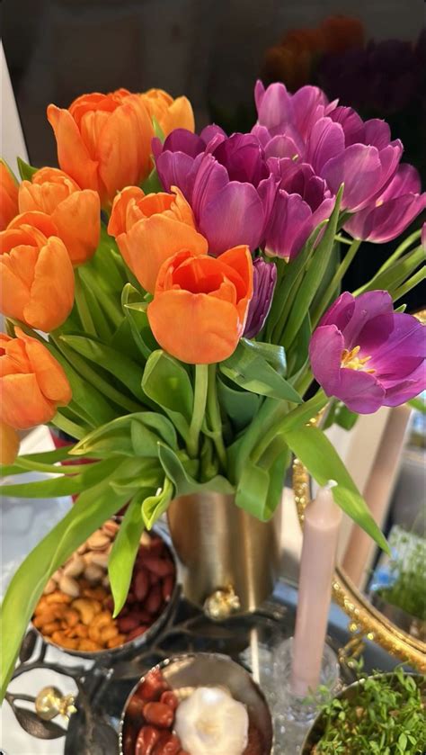 Happy Norouz Niloufar Ebrahimi