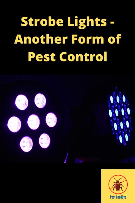 Strobe Lights Another Form Of Pest Control Pest Goodbye