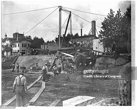 Dc Tree Photos And Premium High Res Pictures Getty Images