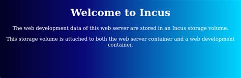 How To Manage The Files Of Several Incus Containers From A Separate Incus Container Tutorials