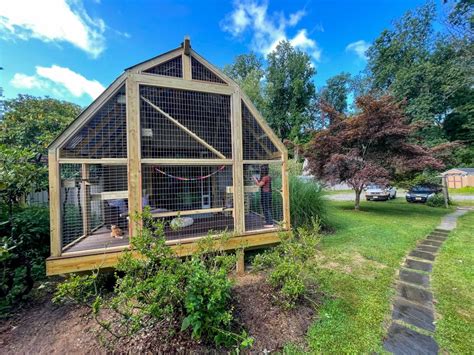 Large Catio The Ultimate Solution For Outdoor Cat Enclosures