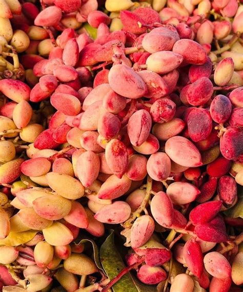 S Majid Mortazavi Posted On Linkedin