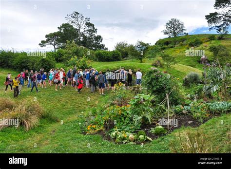 Visitors To Hobbiton Movie Set Location Site For The Lord Of The Rings