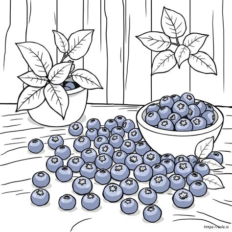 Blueberry Colour Code