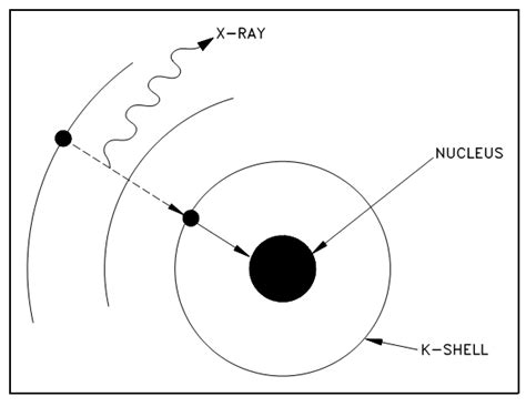 Orbital Electron Capture Download Scientific Diagram
