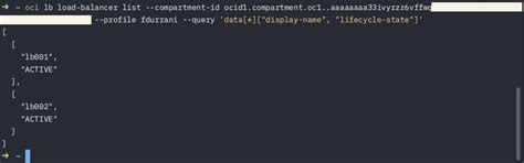 Advanced OCI CLI Syntax And Commands DEV Community