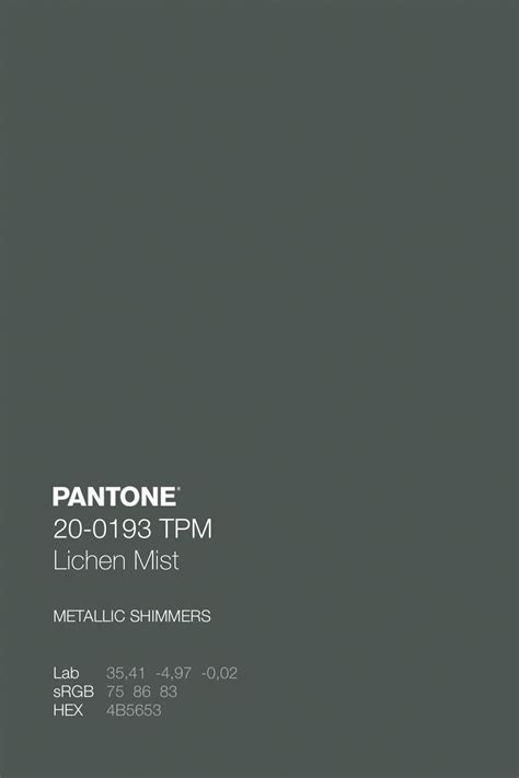 Pantone 20 0193 ТРМ Lichen Mist Color Code Color Palette Design