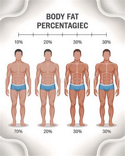 Male Body Fat Percentage Chart Visual Guide Health Fit Man Men Diet Slim Data Stock Illustration