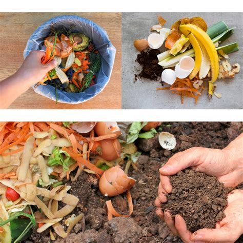 Commercial Services Carbon Compost