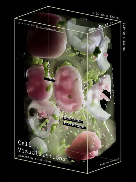 Cell Visualization Behance
