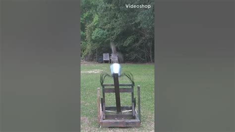 Squirrel Launching Squirrel Catapult Squirrel Launcher Shorts Youtube