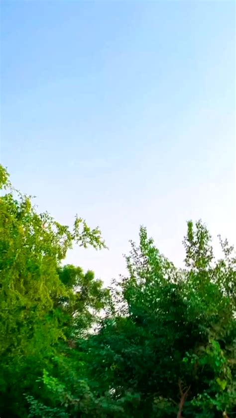 Reeva Follow Me 😍😍 ️♥️ Follow More Videos 😍😍😍🤌🥰♥️ ️ Trendingreels