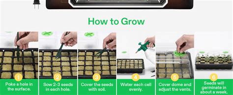 Vivosun 6 Pack Seed Starter Kit 240 Cell Tray 2 Set Of