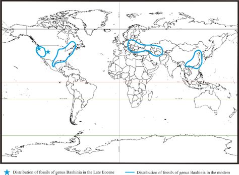 Distribution Of Fossil And Extant Bauhinia Spp In The Late Eocene