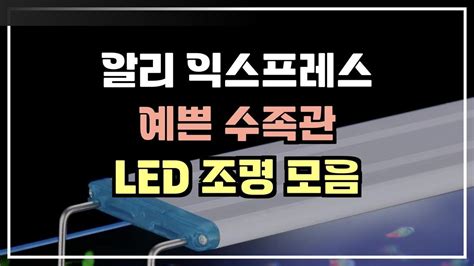알리에서 예쁘다고 난리난 어항 수족관 Led 조명 모음 알리핫딜 알리핫템 알리추천 알리익스프레스 수족관조명 수족관