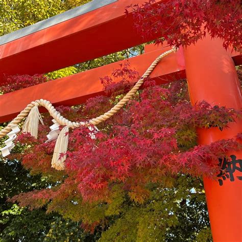 宝塚神社に行きました Satomi Jenneのブログ
