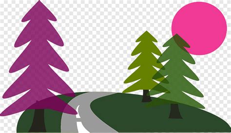 Pine Conifers Tree Image File Formats Leaf Png PNGEgg