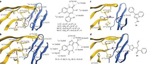 Cbm I Reference Binding Modes Of Diazepam And Flumazenil Compared To