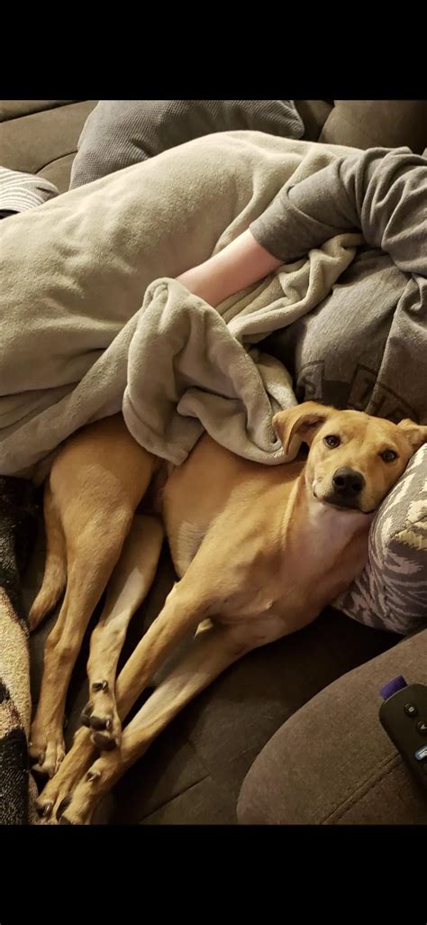 Life As A Half Long Girl Is Rough Scrolller