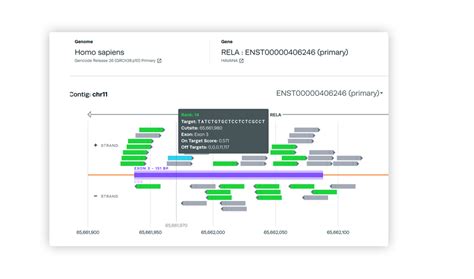 Bioinformatic Tools Decode Science