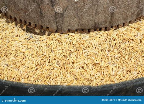 Mini Ris Mil Fotografering För Bildbyråer Bild Av Utrustning 33449671