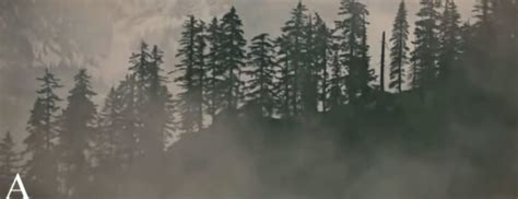 A Short Bigfoot Documentary Sasquatch Chronicles