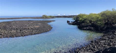 Kiholo Bay Trail Hawaii Hawaii 423 Reviews Map Alltrails