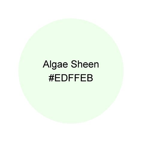 Algae Sheen · Theme