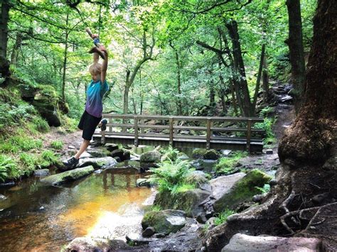 Gorgeous Padley Gorge Peak District Ancient Woodland