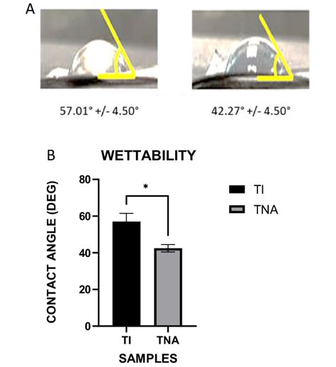 Wettability Analysis By Imagej Software On The Droplet Of Water On Each