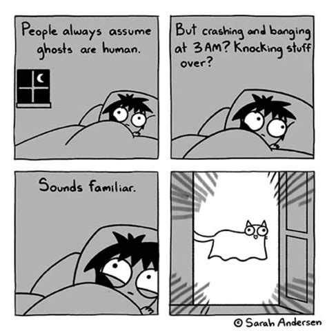 Meowirl Rmeowirl
