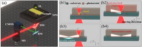 Fabrication Of Micronano Dual Needle Structures With Morphological