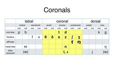 With Thanks To Eric Bakovic For These Great Slides