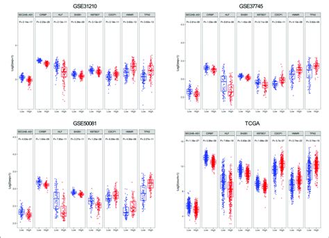 Box Plot Visualization Of The Expression Levels Of The 8 Genes In The