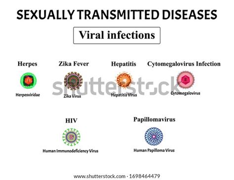 Hiv Herpes Papillomavirus Aids Hepatitis Cytomegalovirus Stock