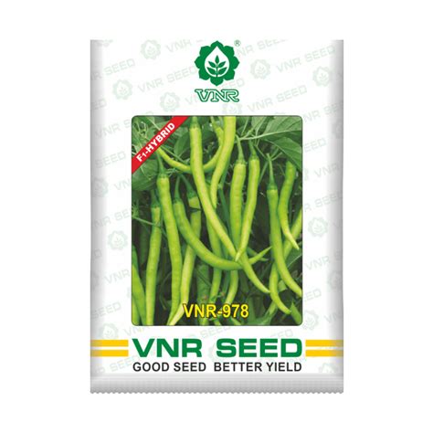 Vnr Chilli Seeds Buy Online At Best Price F1 Hybrid Chilli Seeds