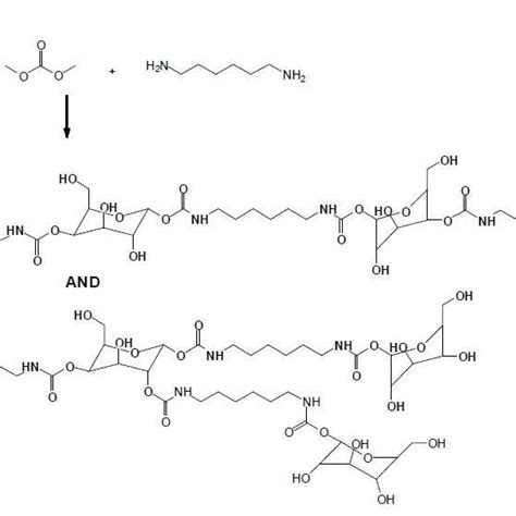 From A Flat Surface To A 3 Dimentional Curved Surface A Original
