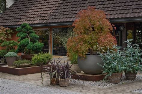 Pflanzen Outdoor Blumengarten Stäfa