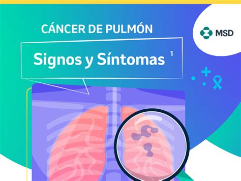 Clasificación De Siewert And Stein Msd Conecta Colombia